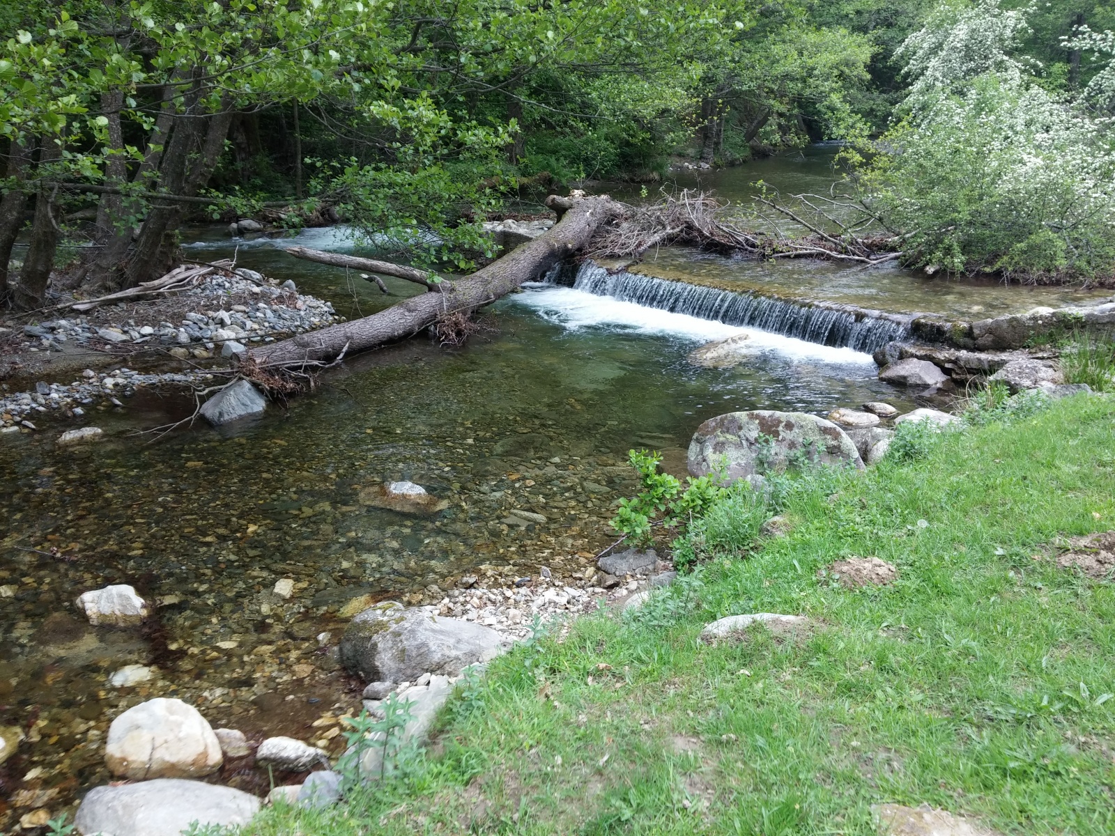 Пъстървова разходка по възкресение | Spinning Portal